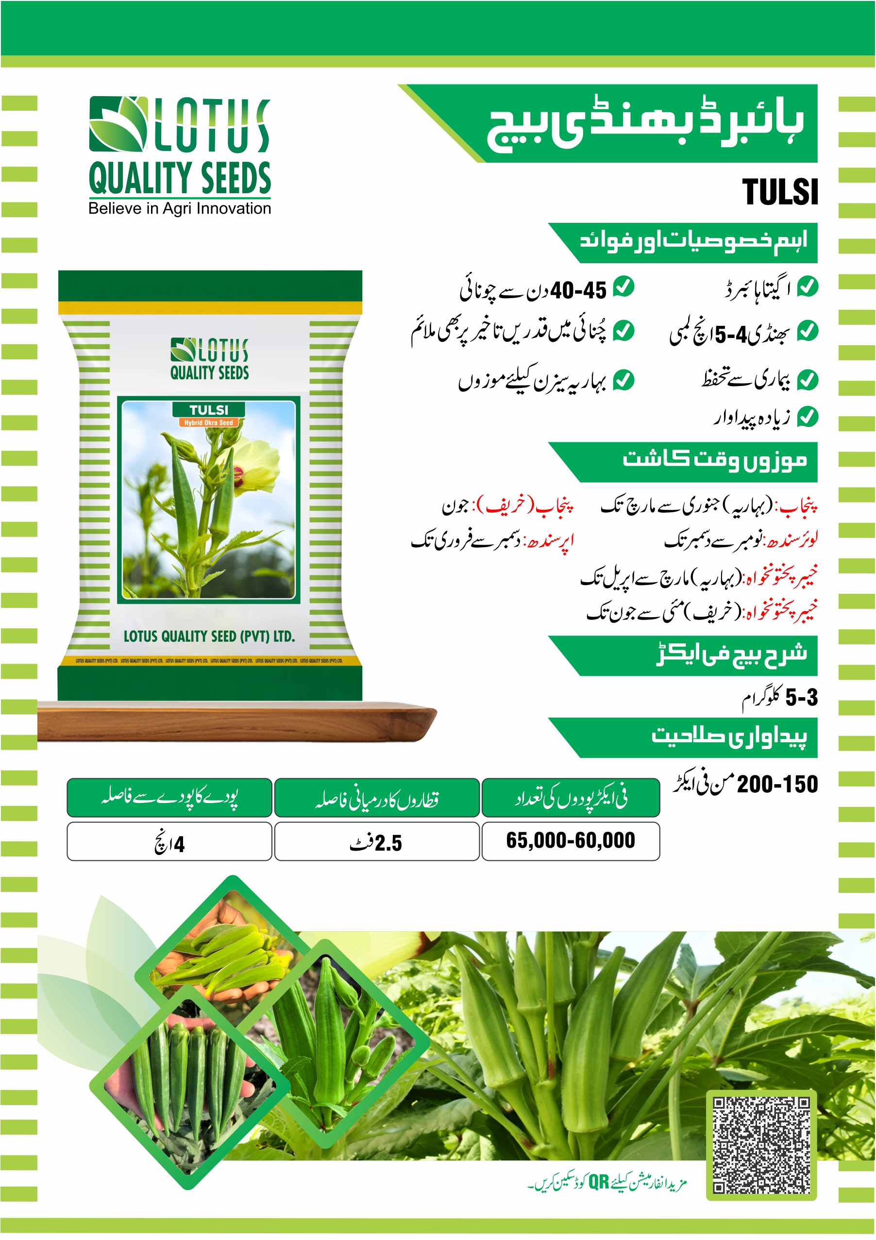 Tulsi (Hybrid Okra Seed) – Lotus Quality Seeds